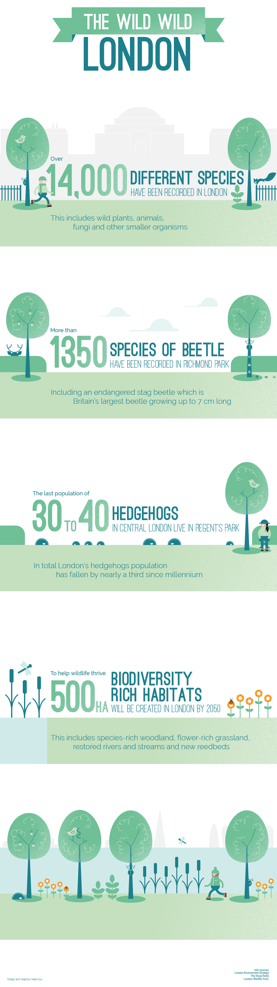 Wild London infographic – Helen Ilus