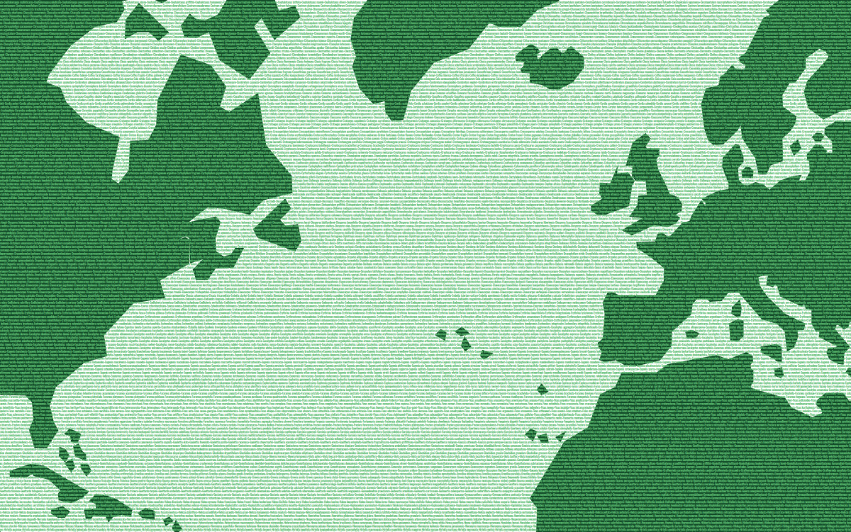 Tree Types of The World map – Helen Ilus