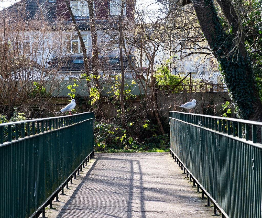 Seven winter walks in outer London – Helen Ilus