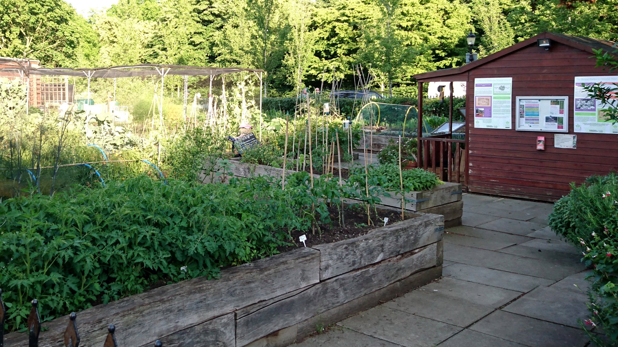 Explore the London Greenground map – Helen Ilus